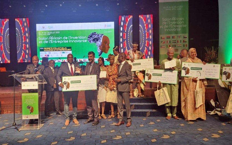 The Rise Of African Innovation: Celebrating African Pioneers In Diverse ...